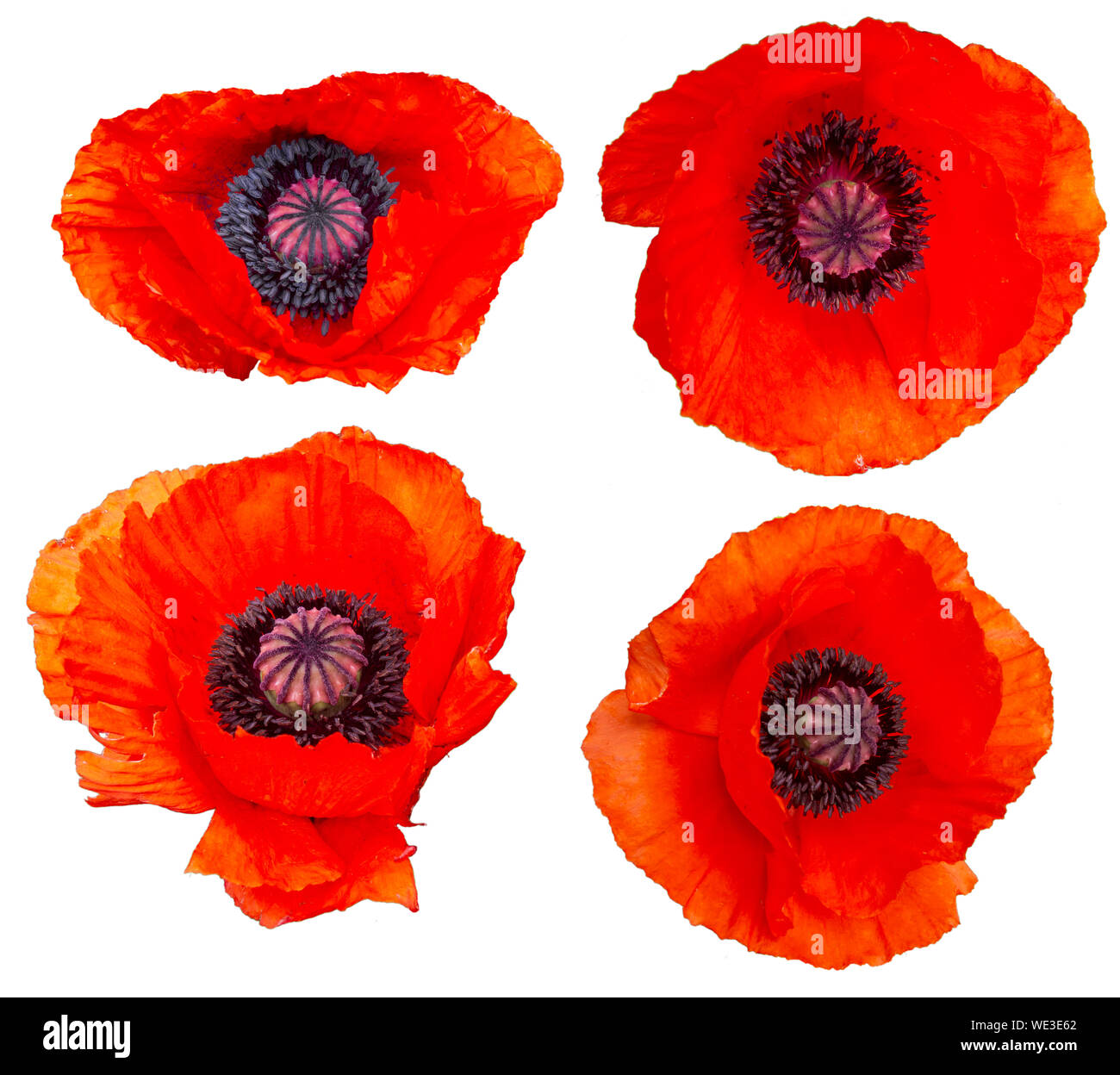 White high resolution hi-res stock photography and images - Alamy