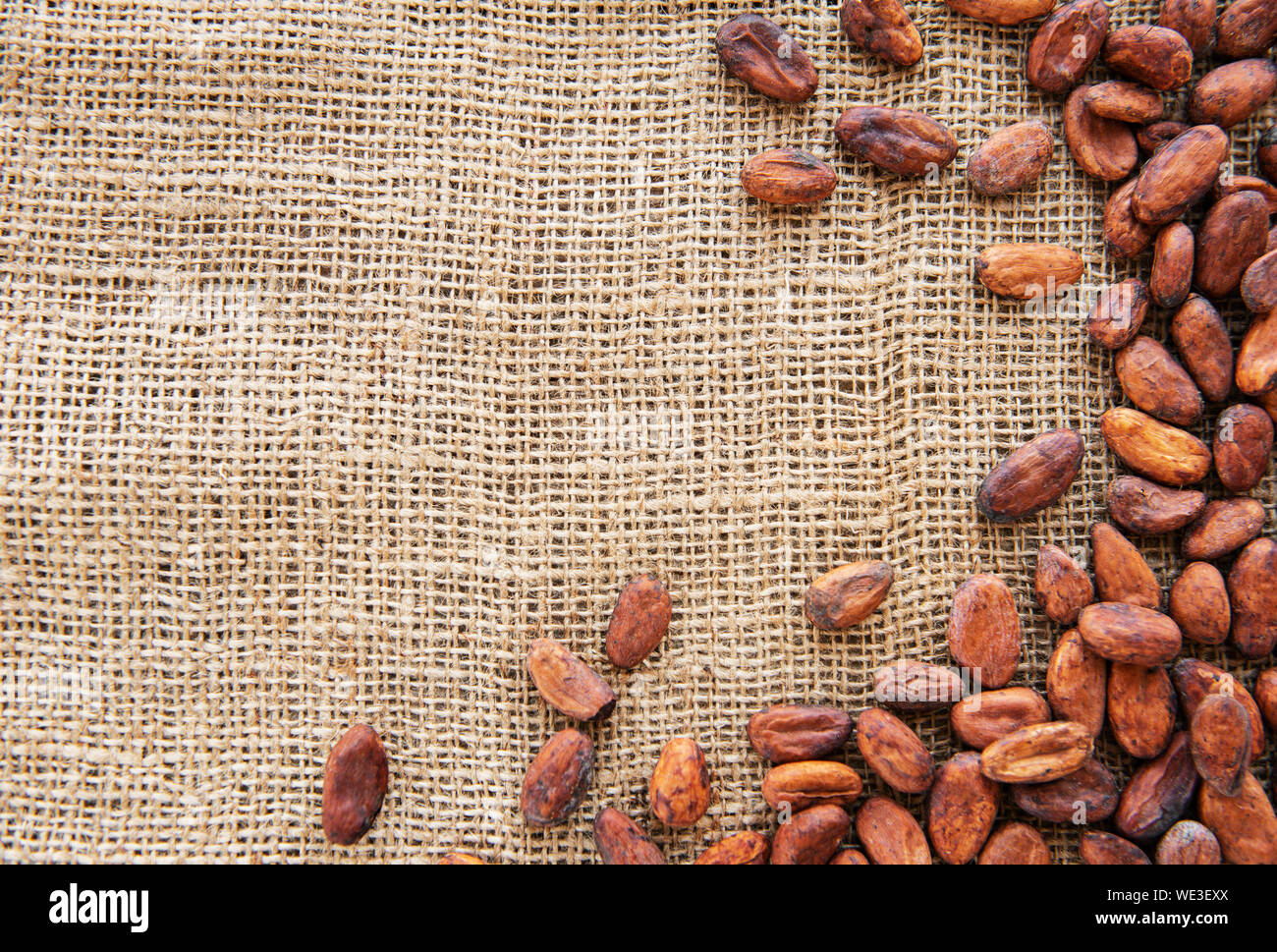 Cocoa beans on a old burlap background Stock Photo - Alamy