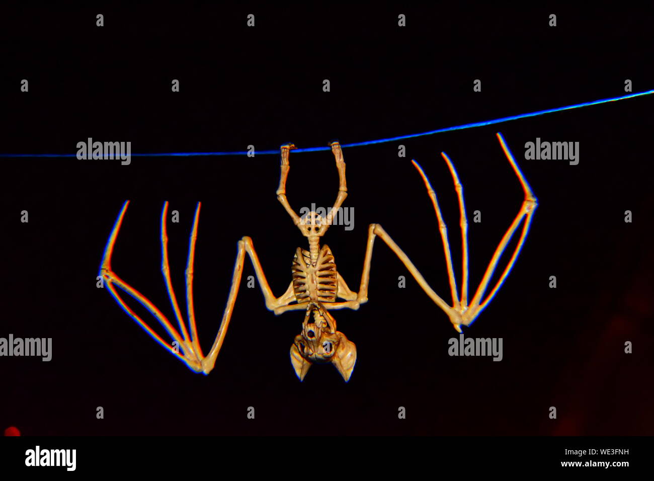Skeleton bat hi-res stock photography and images - Alamy