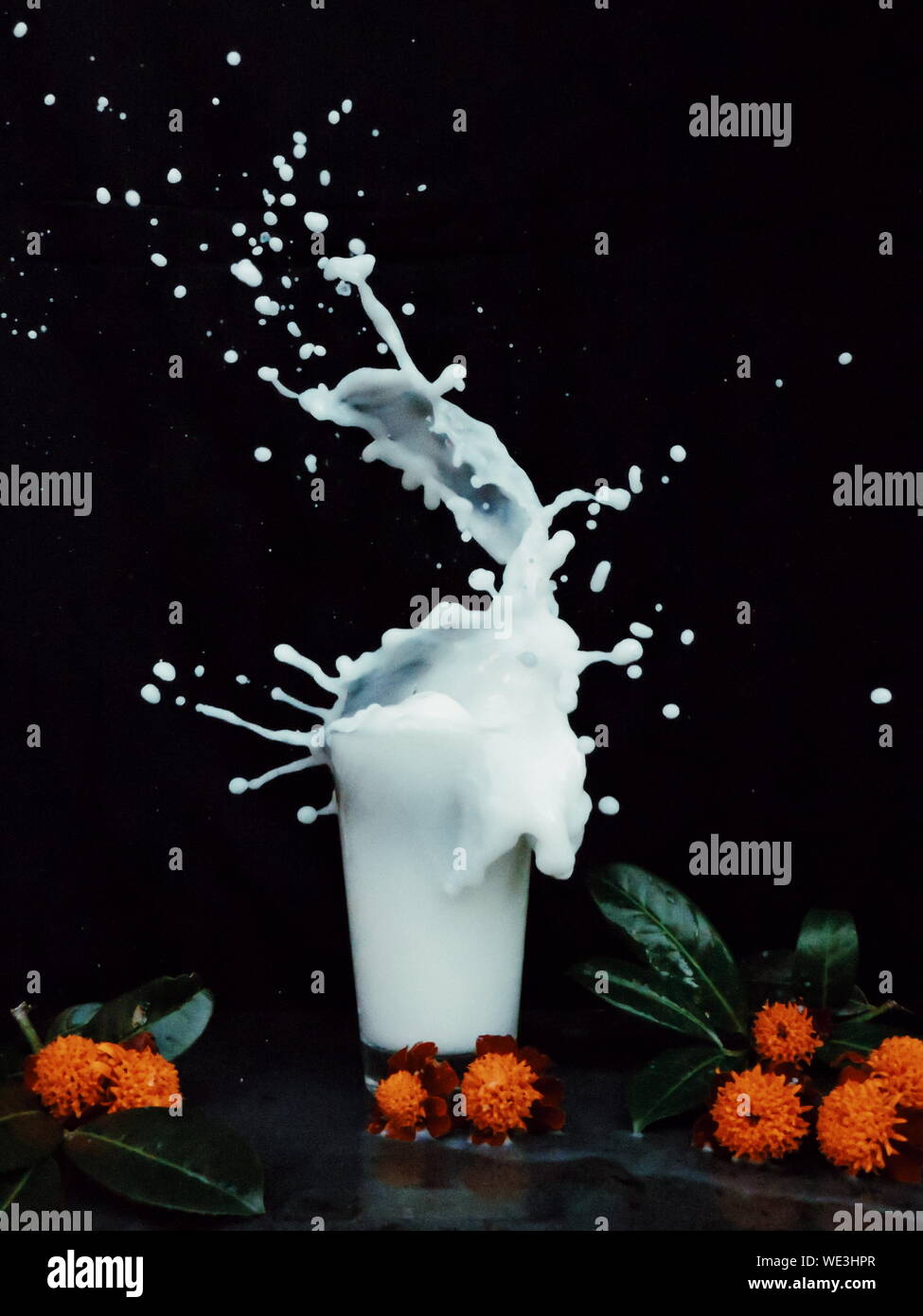 Milk flowers hi-res stock photography and images - Alamy