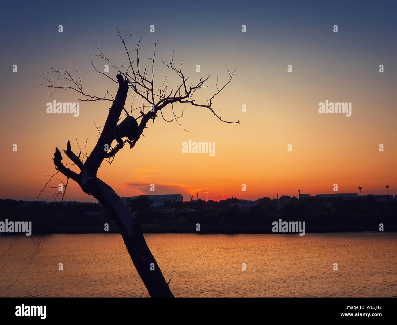 Silhouette of lonely dry tree over sunset sky background. Abstract bare ...