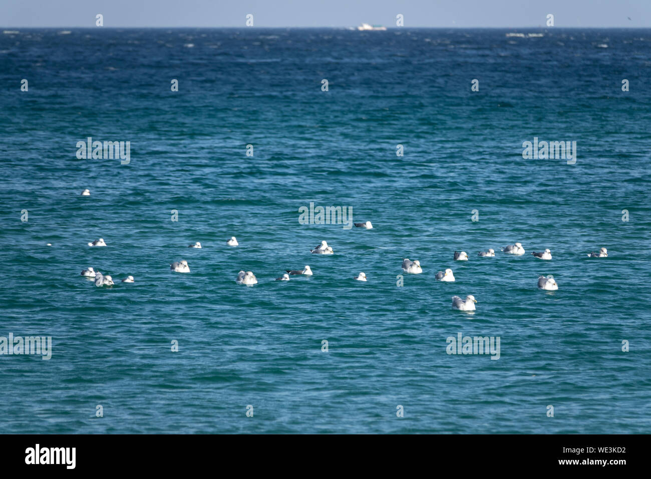 Angel and sea hi-res stock photography and images - Alamy