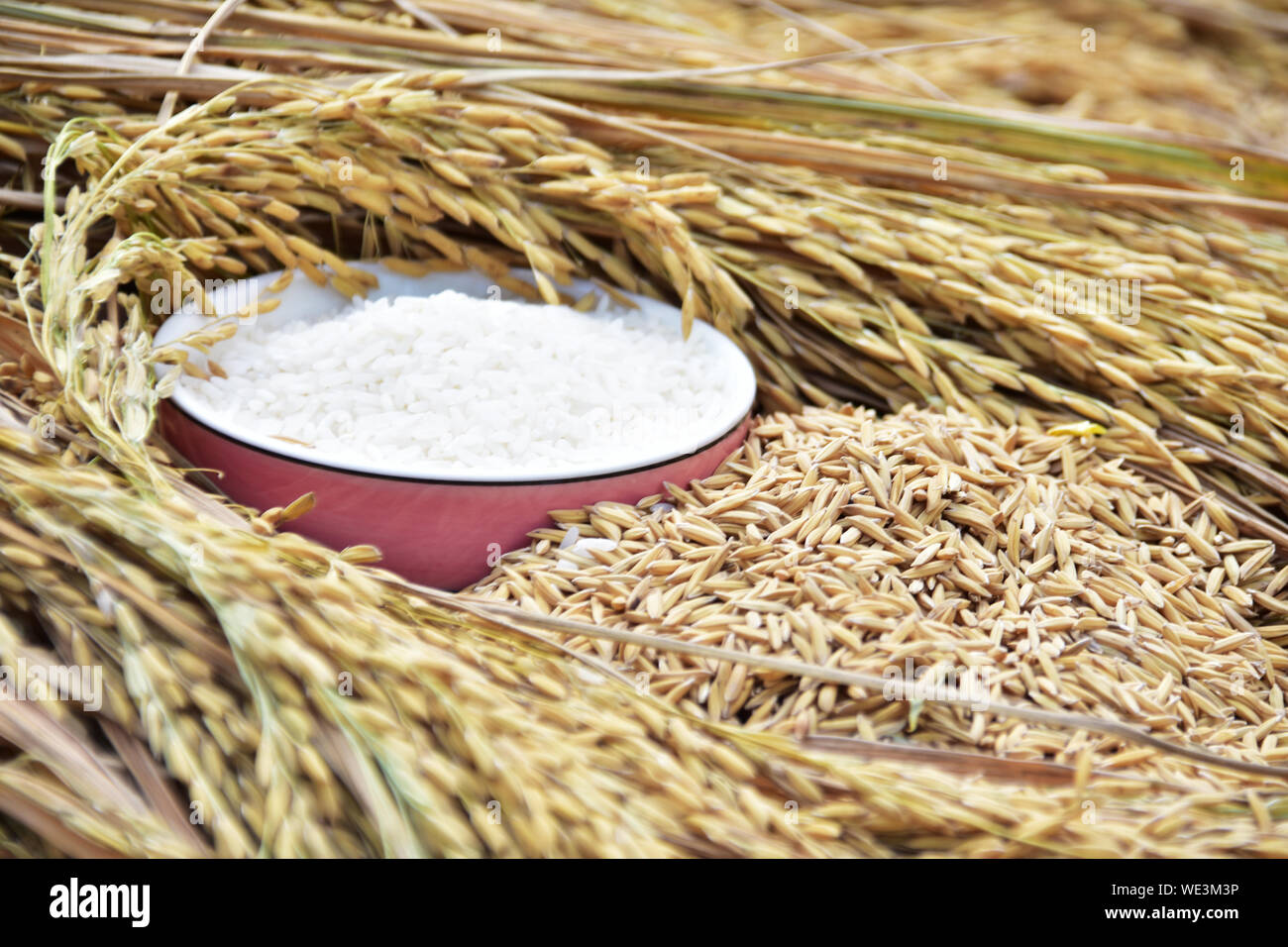 Rice Bale High Resolution Stock Photography and Images - Alamy