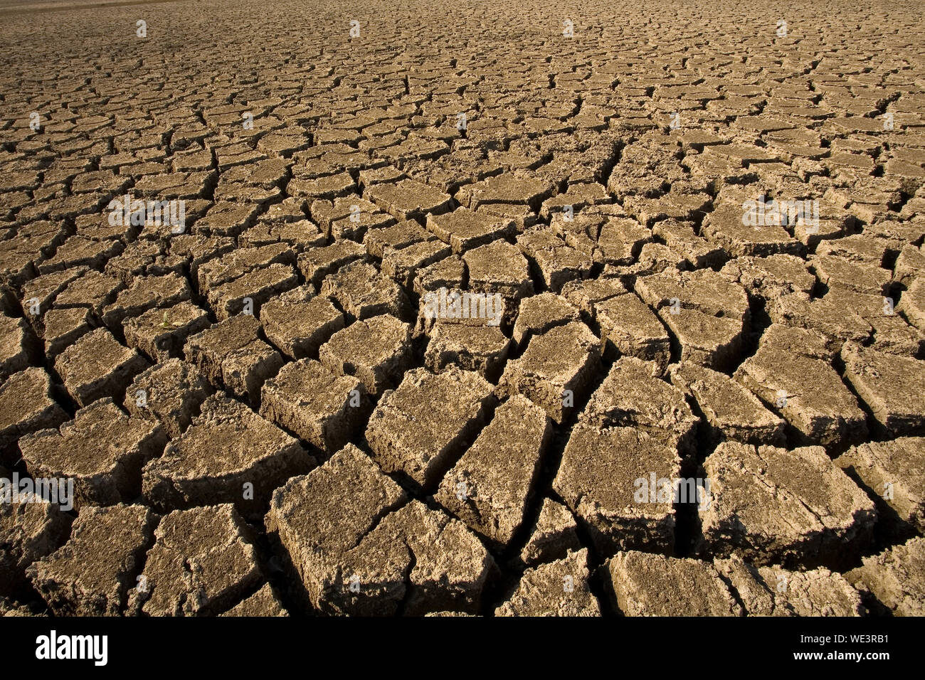 Dry cracked soil surface, horizontal full frame Stock Photo - Alamy