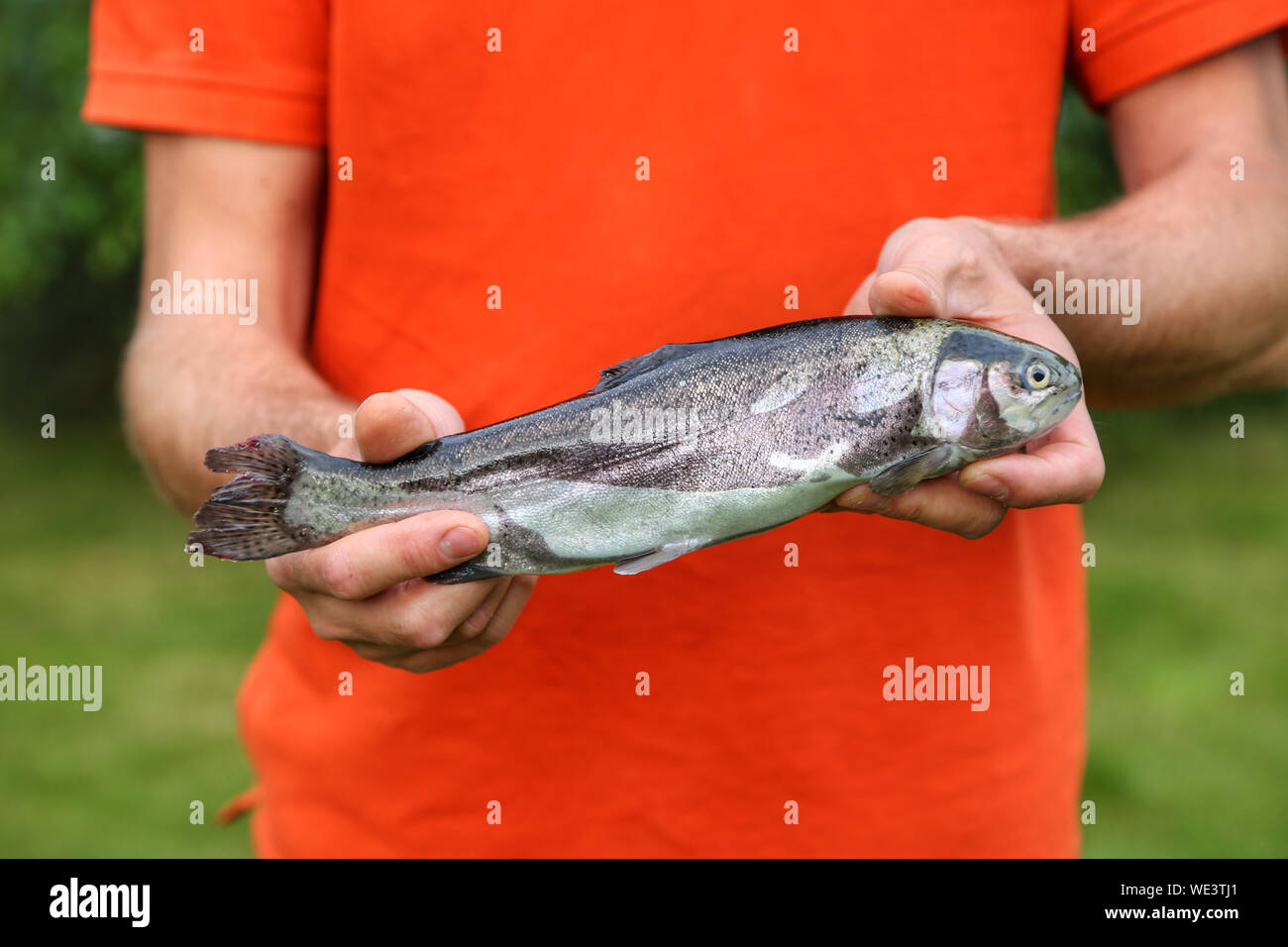 Man holding dead fish hi-res stock photography and images - Alamy