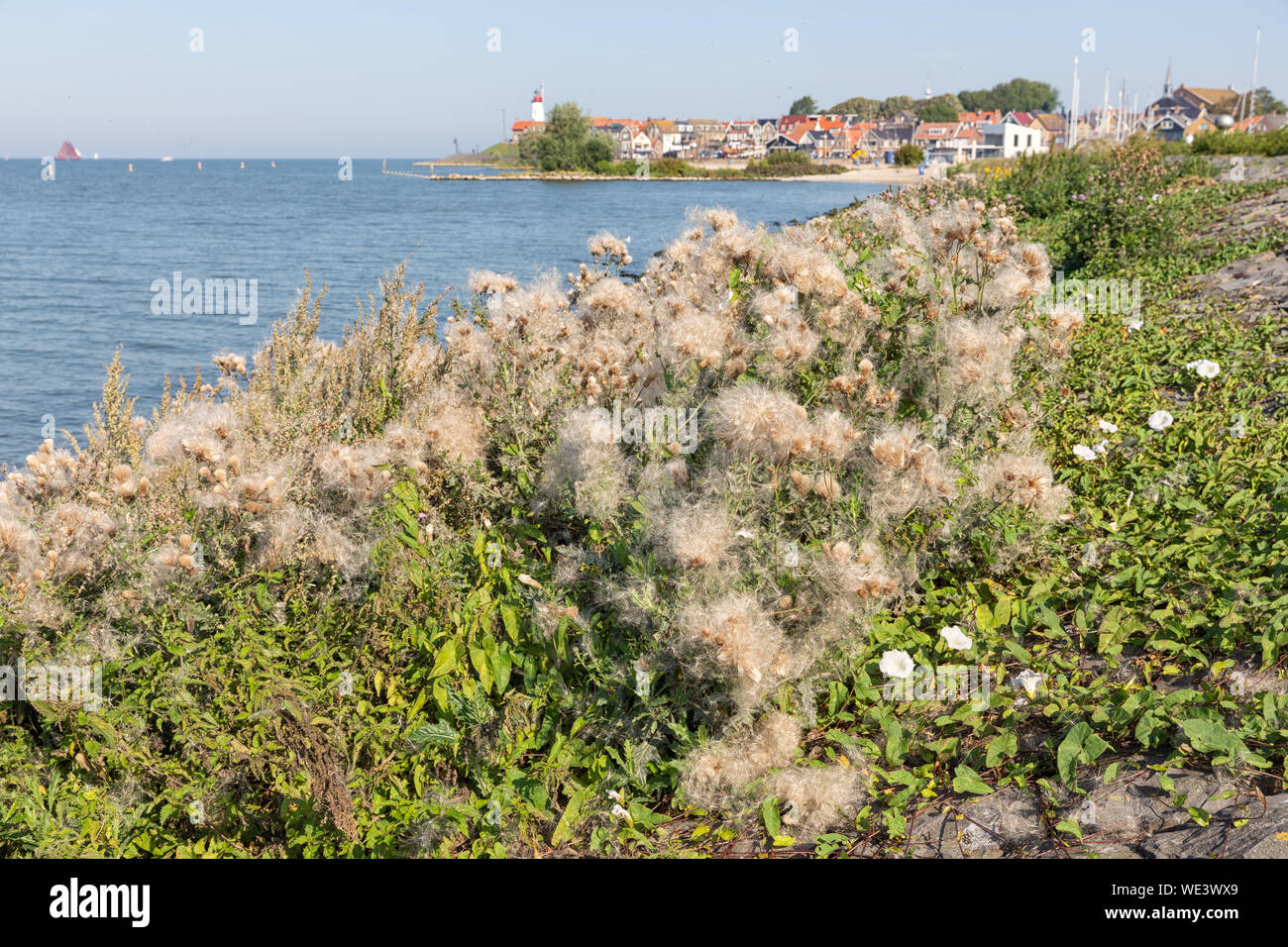 Urk village beautiful colorful hi-res stock photography and images - Alamy