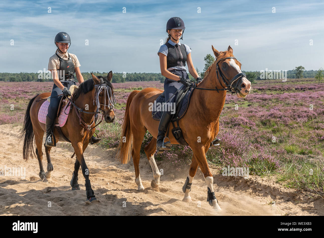 Dutch equestrian rider hi-res stock photography and images - Alamy