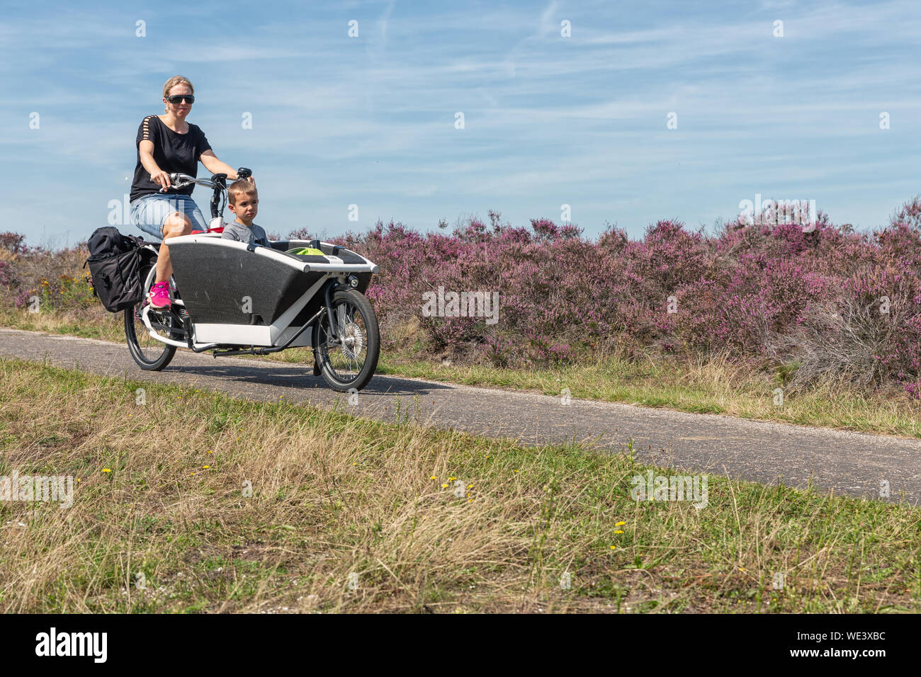 Woman with boy in carrier cycle at heath Dutch Veluwe Stock Photo - Alamy