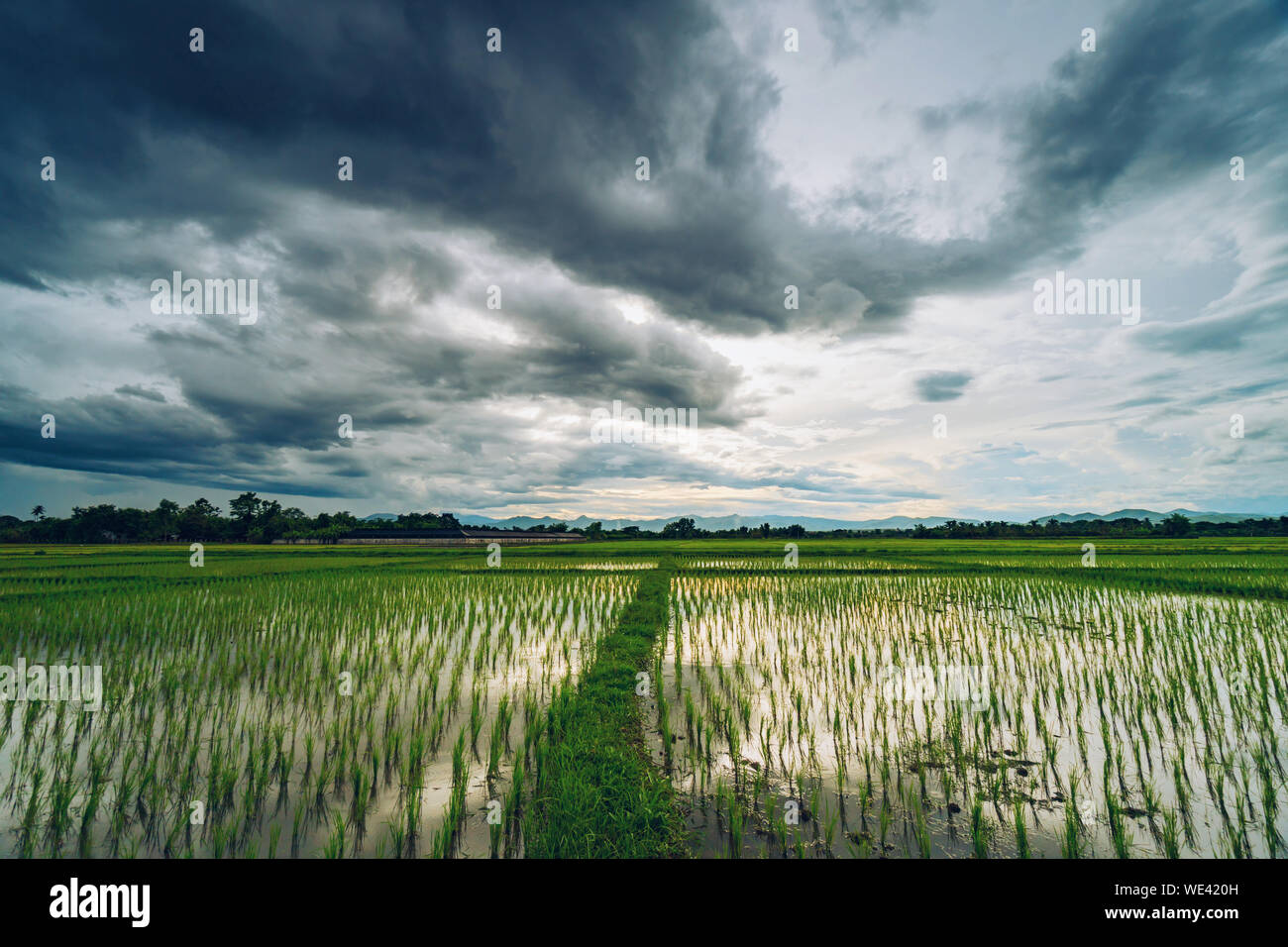 Natural scenic beautiful field and storm clouds and green field ...