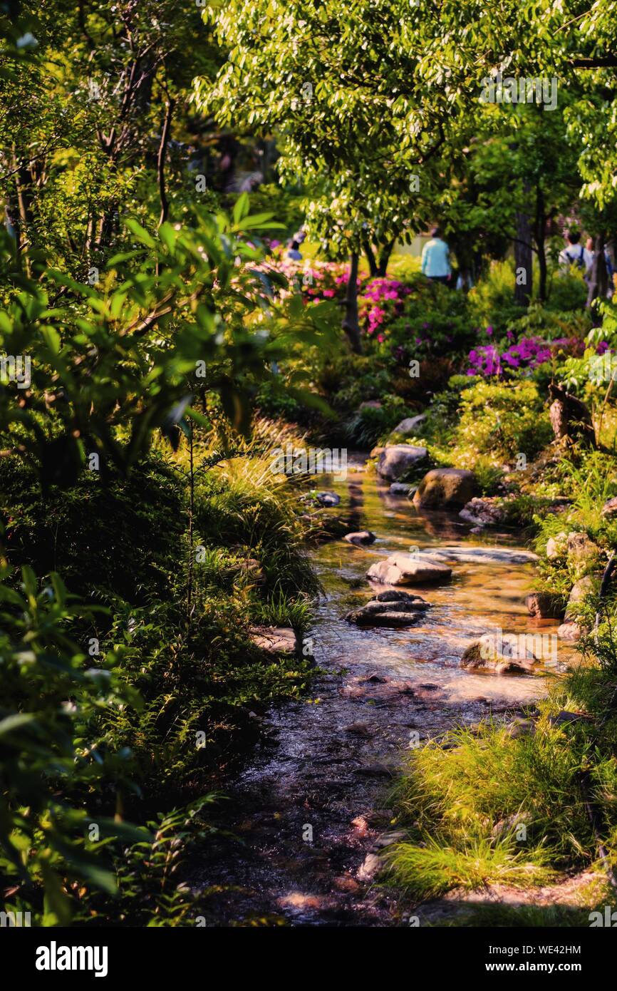 River garden scene hi-res stock photography and images - Alamy