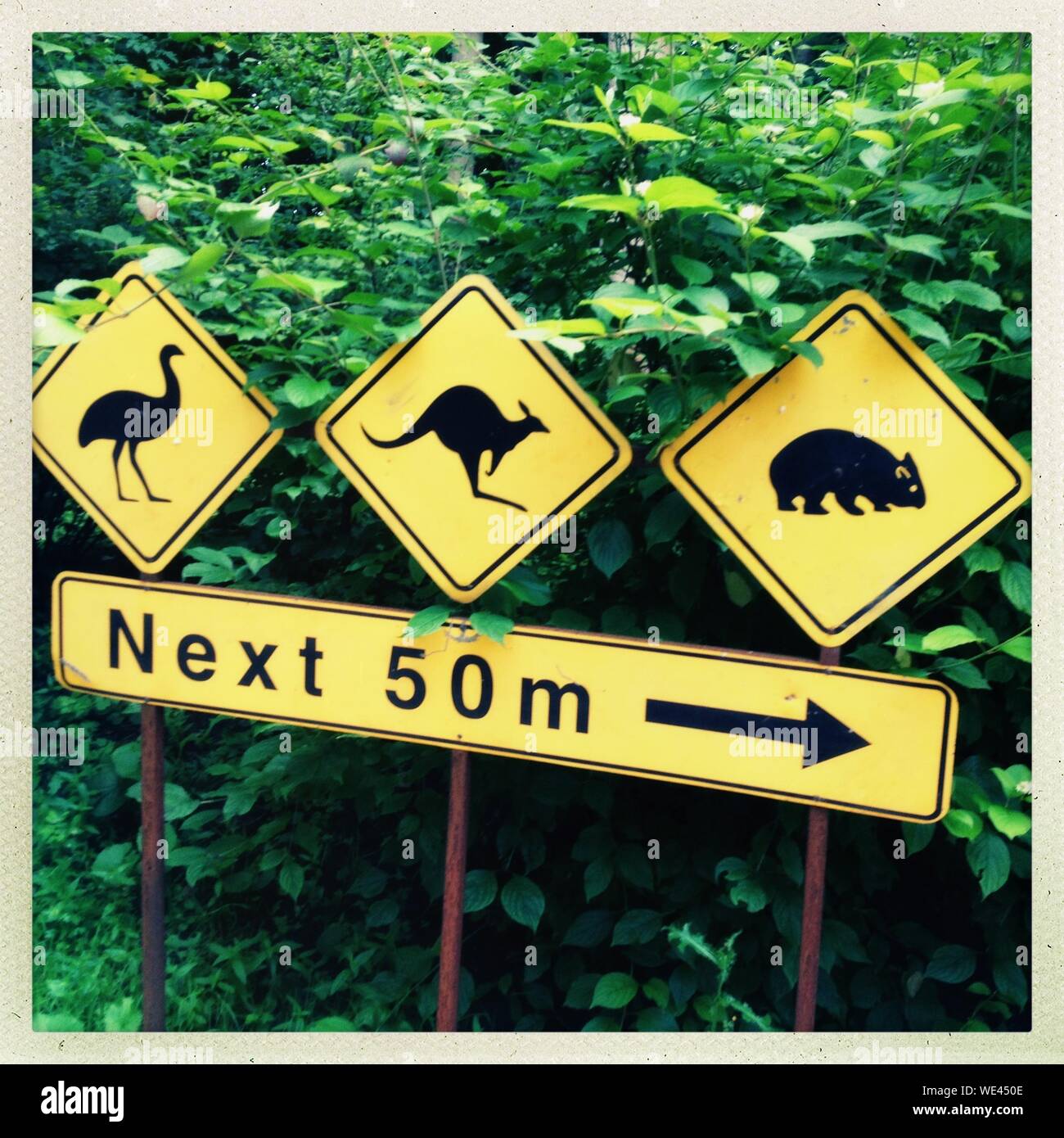 Emu warning road sign hi-res stock photography and images - Alamy