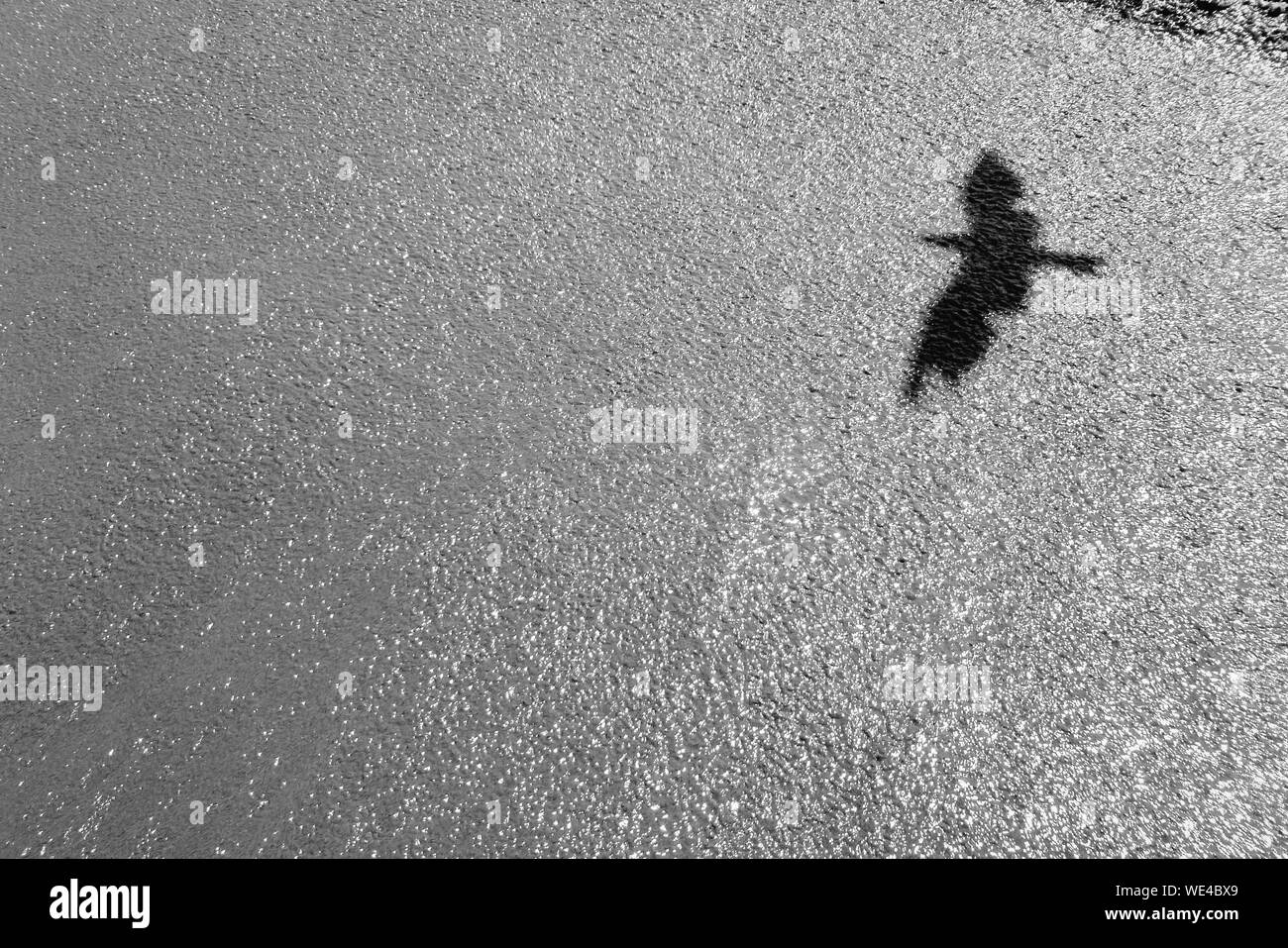 Flying Bird Shadow High Resolution Stock Photography and Images - Alamy