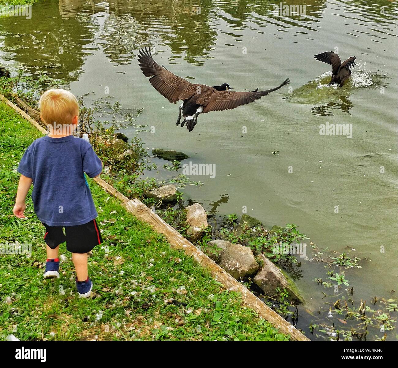 Children looking for birds hi-res stock photography and images - Alamy