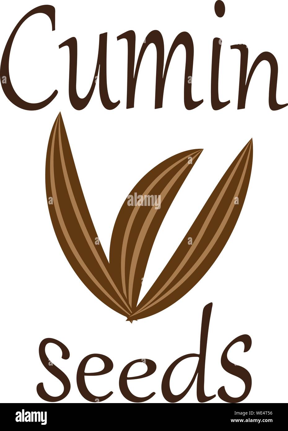 Cumin seeds on spice Stock Vector Images - Alamy