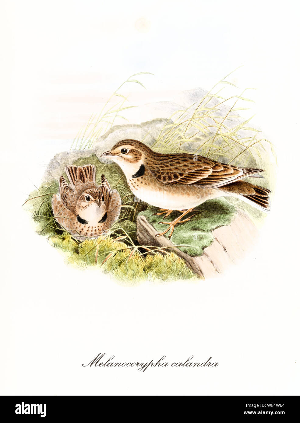 Ground drawing Cut Out Stock Images & Pictures - Alamy