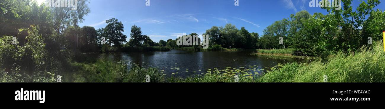 Surrounded by plants and grass hi-res stock photography and images - Alamy