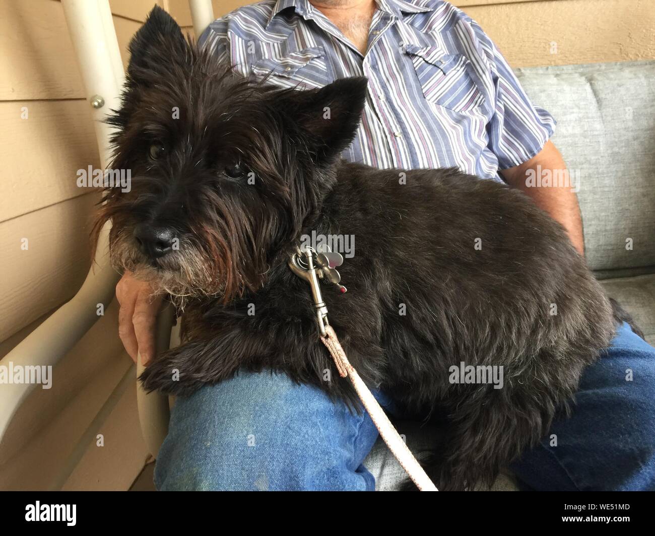 Lap body area hi-res stock photography and images - Alamy