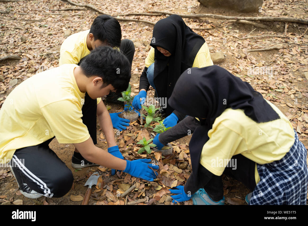 Planting trees hi-res stock photography and images - Alamy