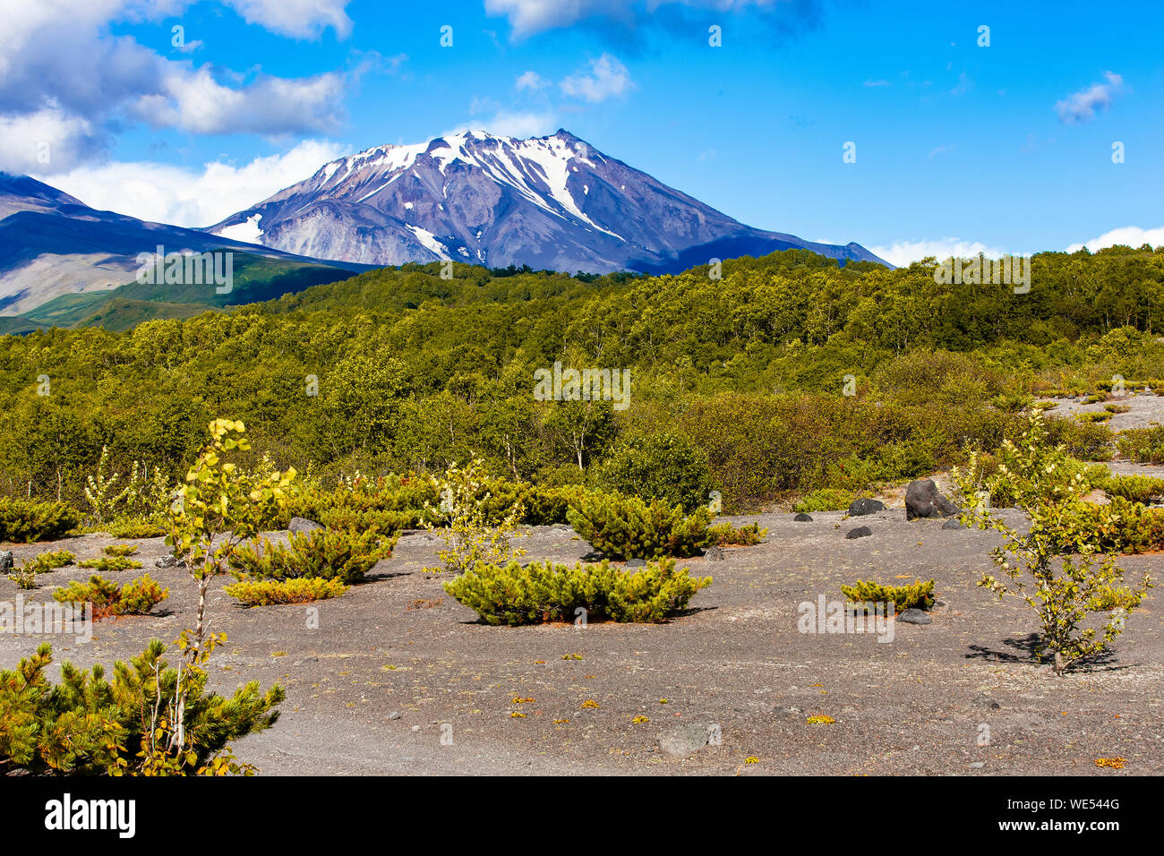 Views of Kozelsky volcano and the foot of the Avachinsky volcano on ...