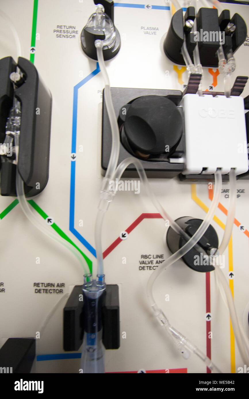 Apheresis High Resolution Stock Photography and Images - Alamy