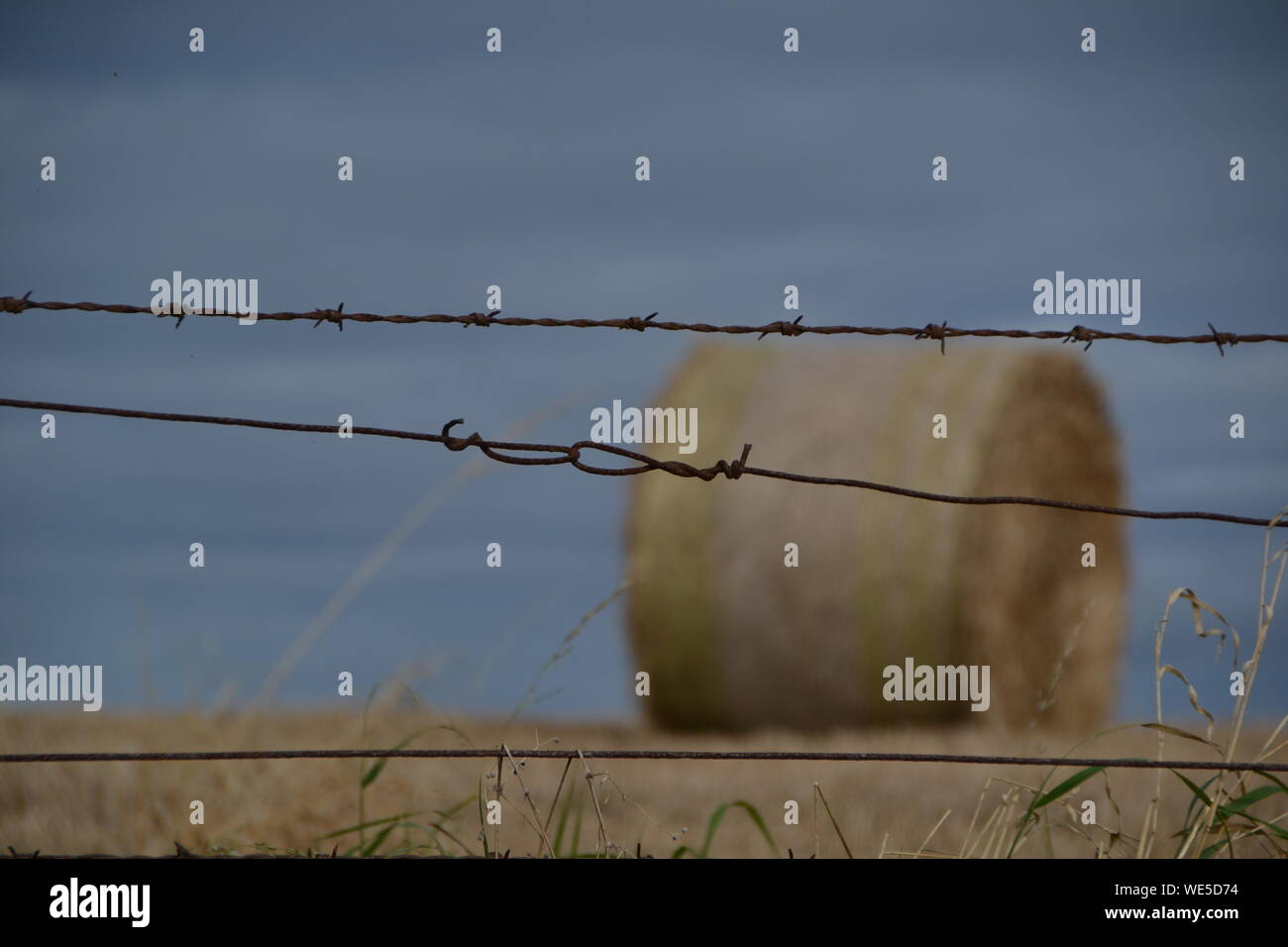 Hay Barrier High Resolution Stock Photography and Images - Alamy
