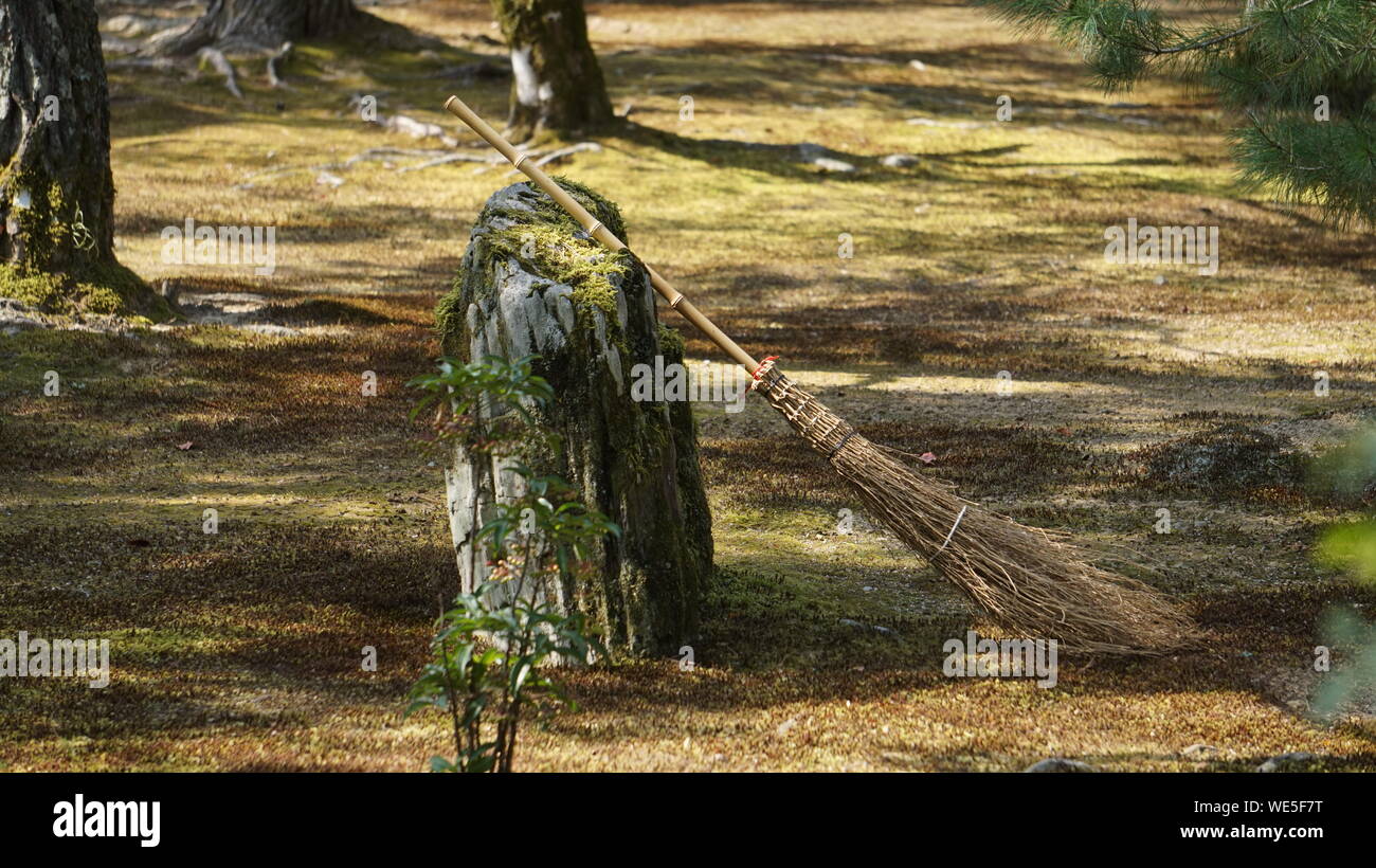 Broom field hi-res stock photography and images - Alamy