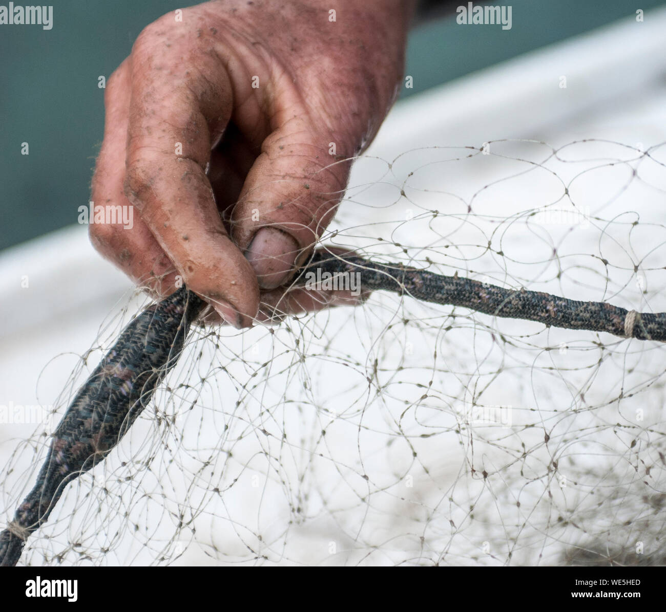 Fisherman`s hand in a fishing net from close up Stock Photo - Alamy