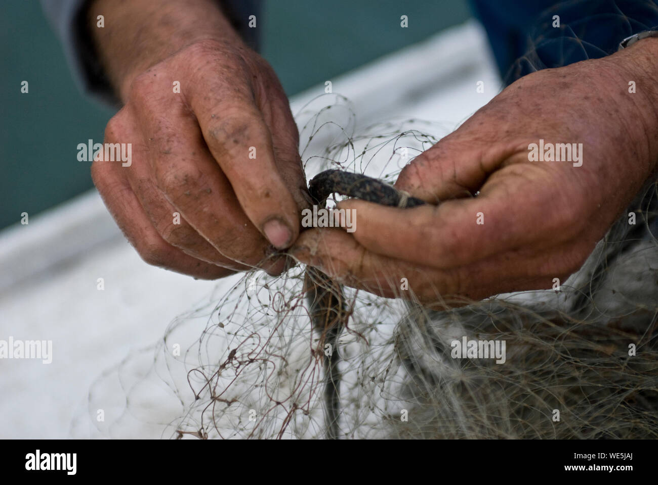 Fisherman`s hand in a fishing net from close up Stock Photo - Alamy