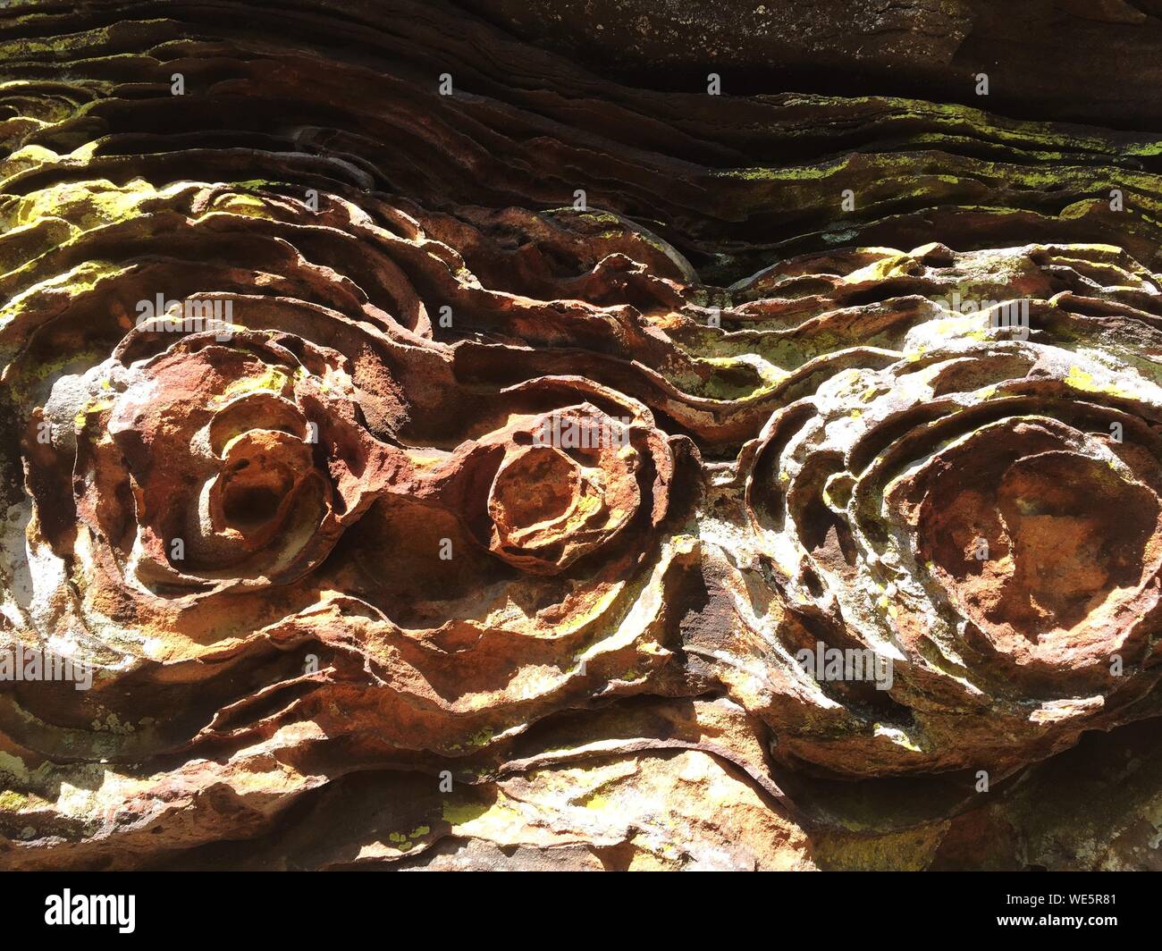 Physical layer hi-res stock photography and images - Alamy