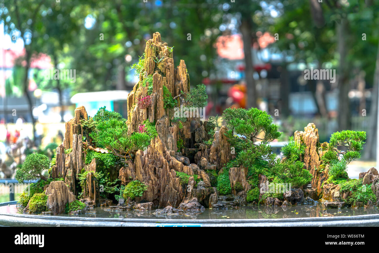 Bonsai and Penjing with miniature in a tray like to say in human life ...