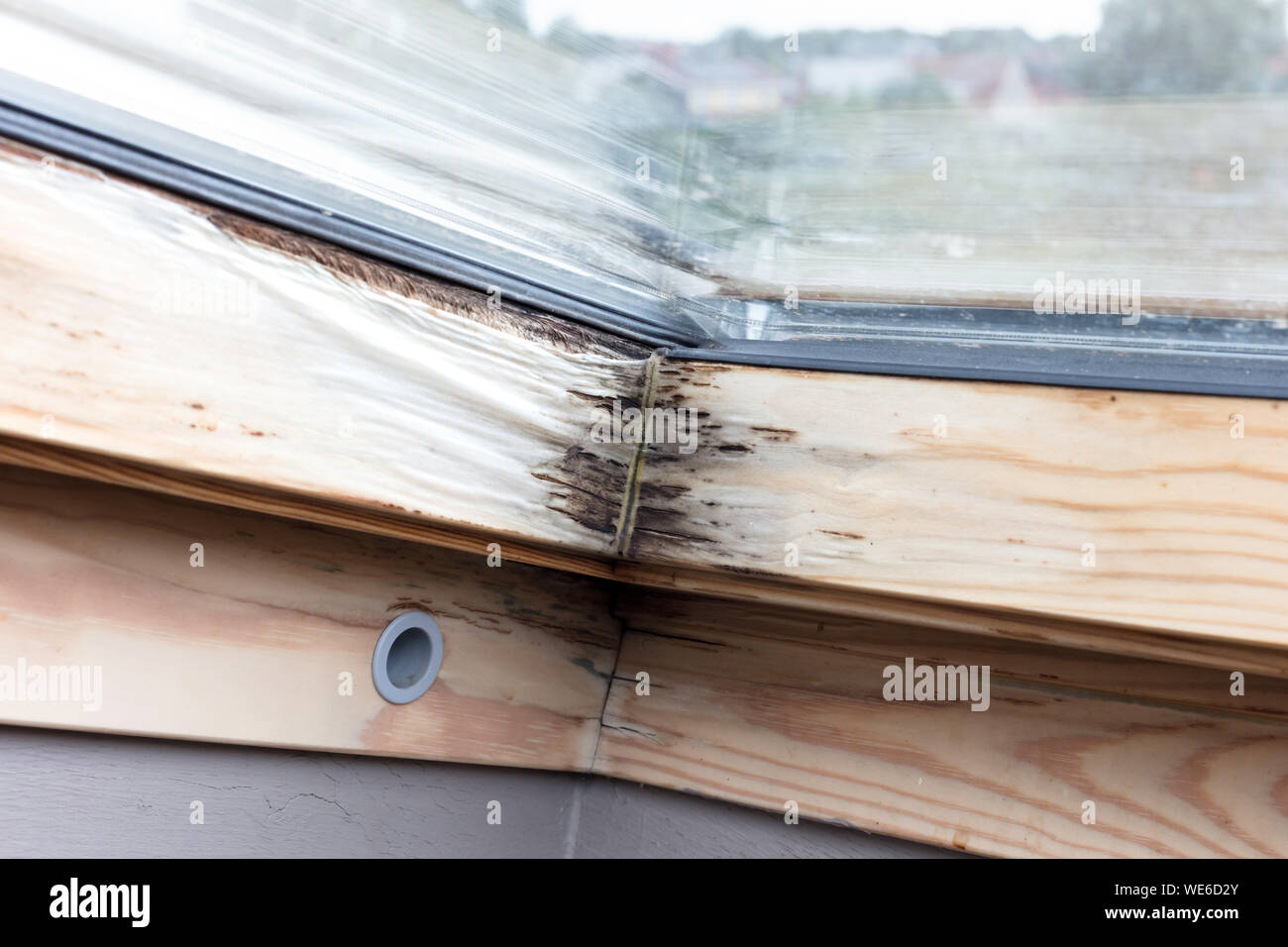 Roof window after leaking, wood is starting to rot Stock Photo - Alamy