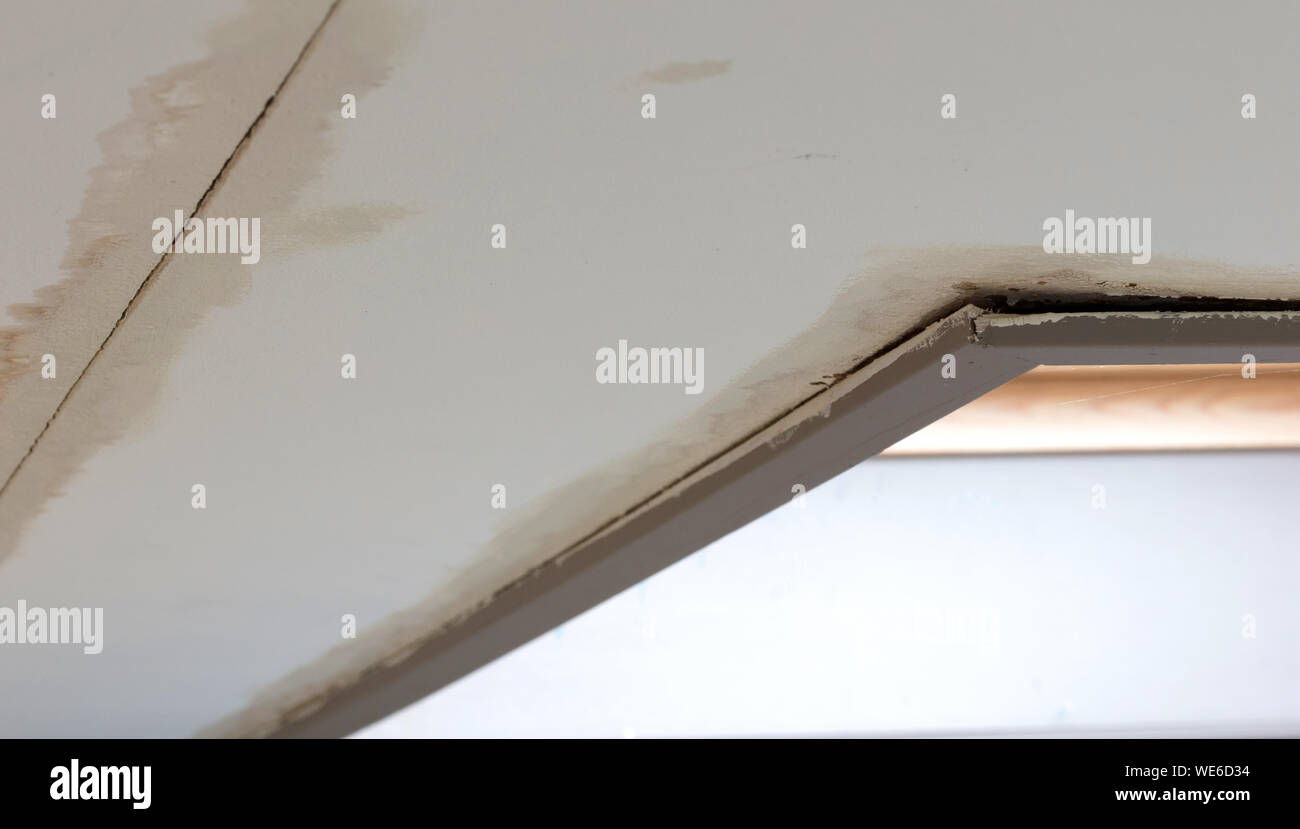 Roof window after leaking, wood and ceiling in serious need of some ...