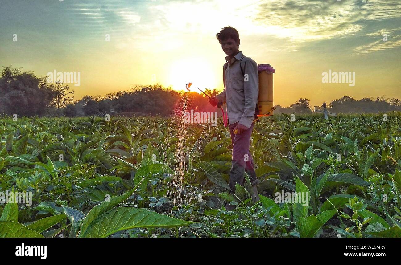 Farmer watering hi-res stock photography and images - Alamy
