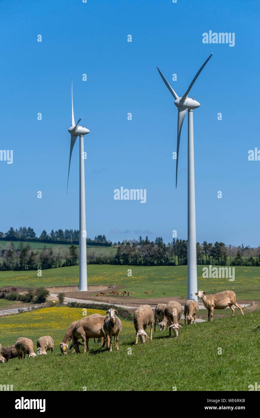 France, Aveyron, wind turbine, Levezou plateau near Pont de Salars ...