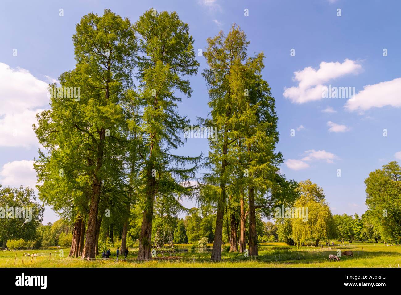 Castle chantilly hi-res stock photography and images - Alamy