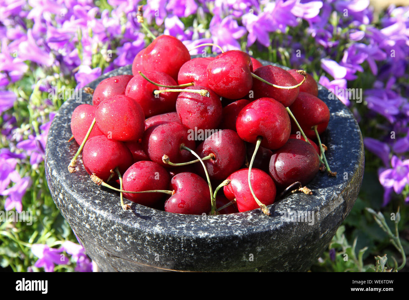 Red purple fruits hi-res stock photography and images - Alamy