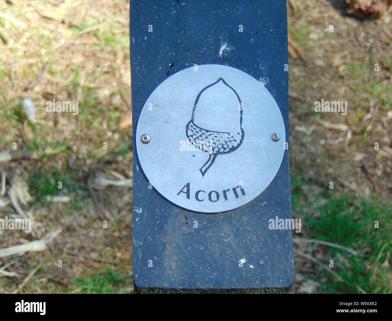 Acorn sign hi-res stock photography and images - Alamy
