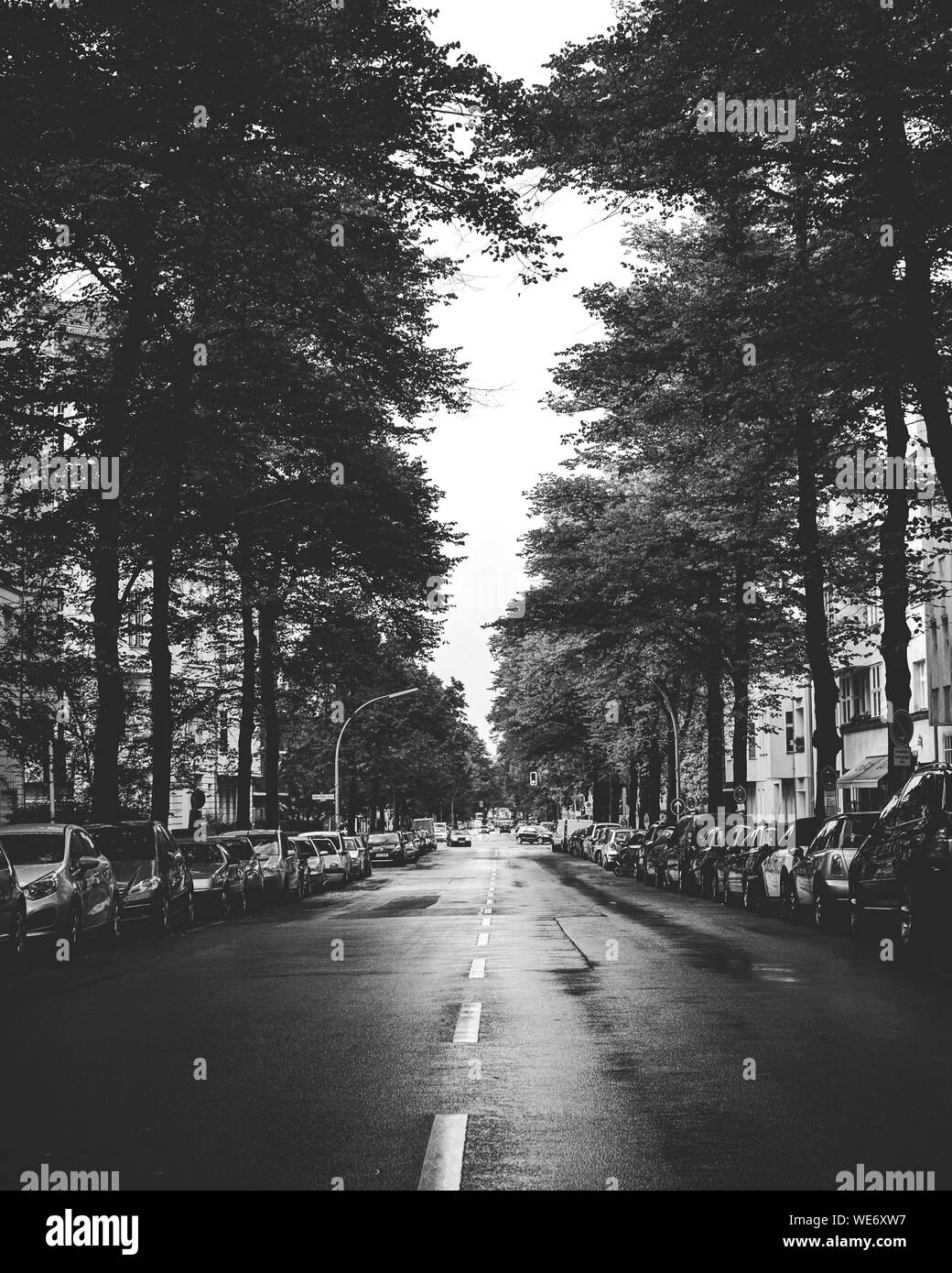 City surrounded by trees hi-res stock photography and images - Alamy