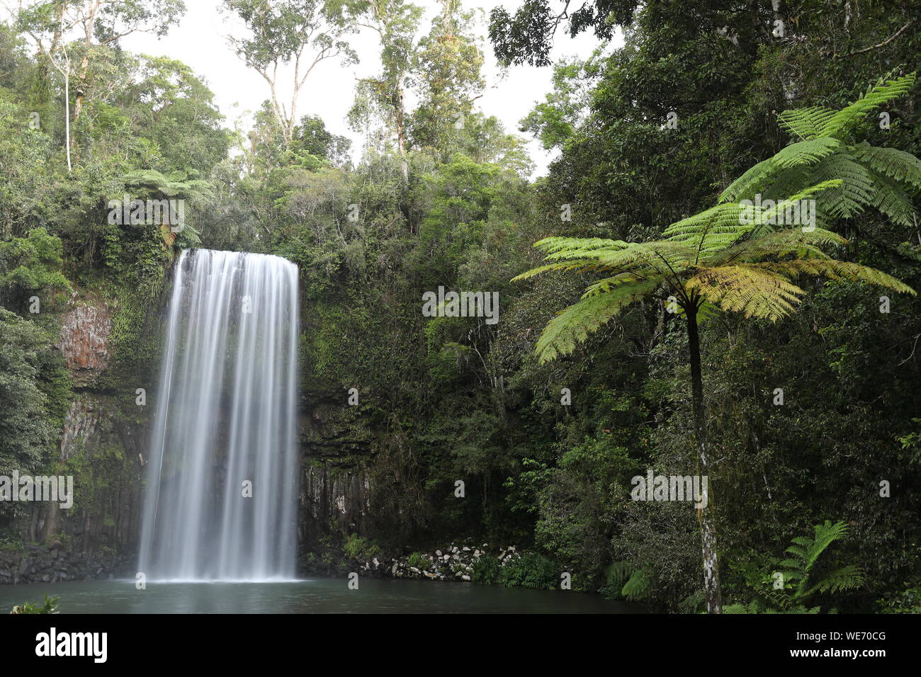 Waterfall circuit - Waterfalls Millaa Milaa Falls,,Atherton Tablelands ...