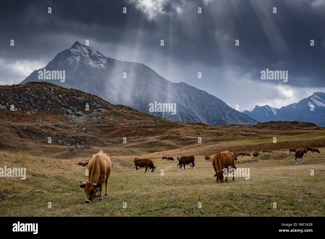 Mount cenis hi-res stock photography and images - Alamy