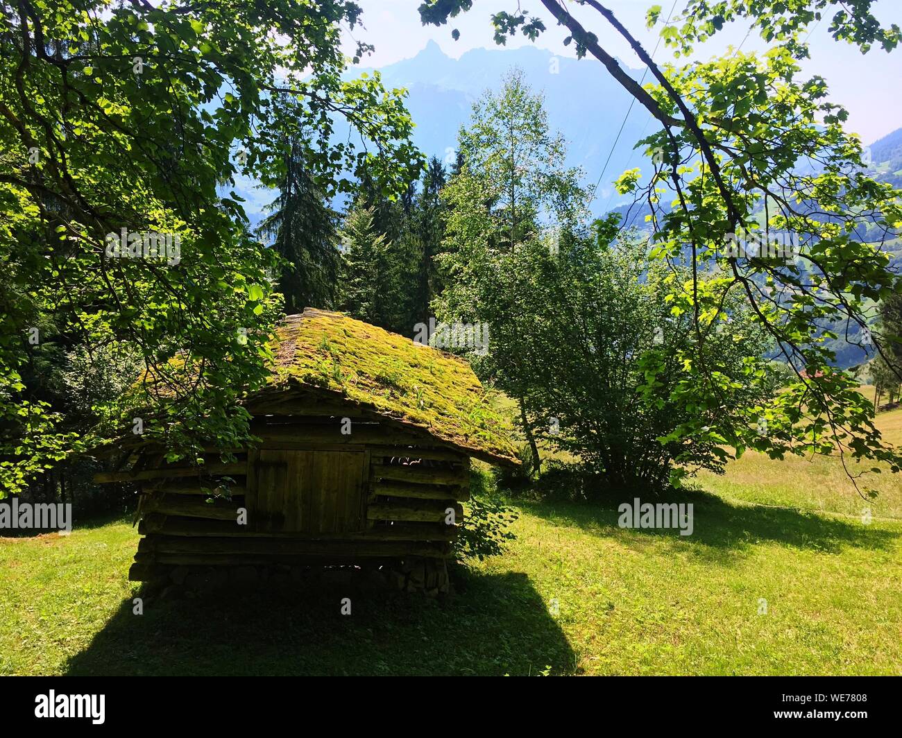 Moss covered house hi-res stock photography and images - Alamy