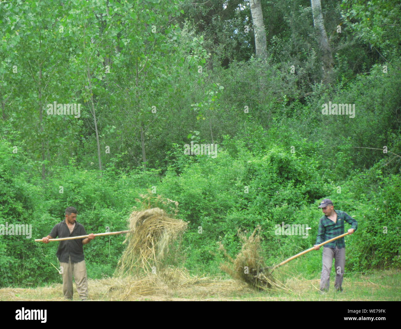 Farmers harvesting hi-res stock photography and images - Alamy