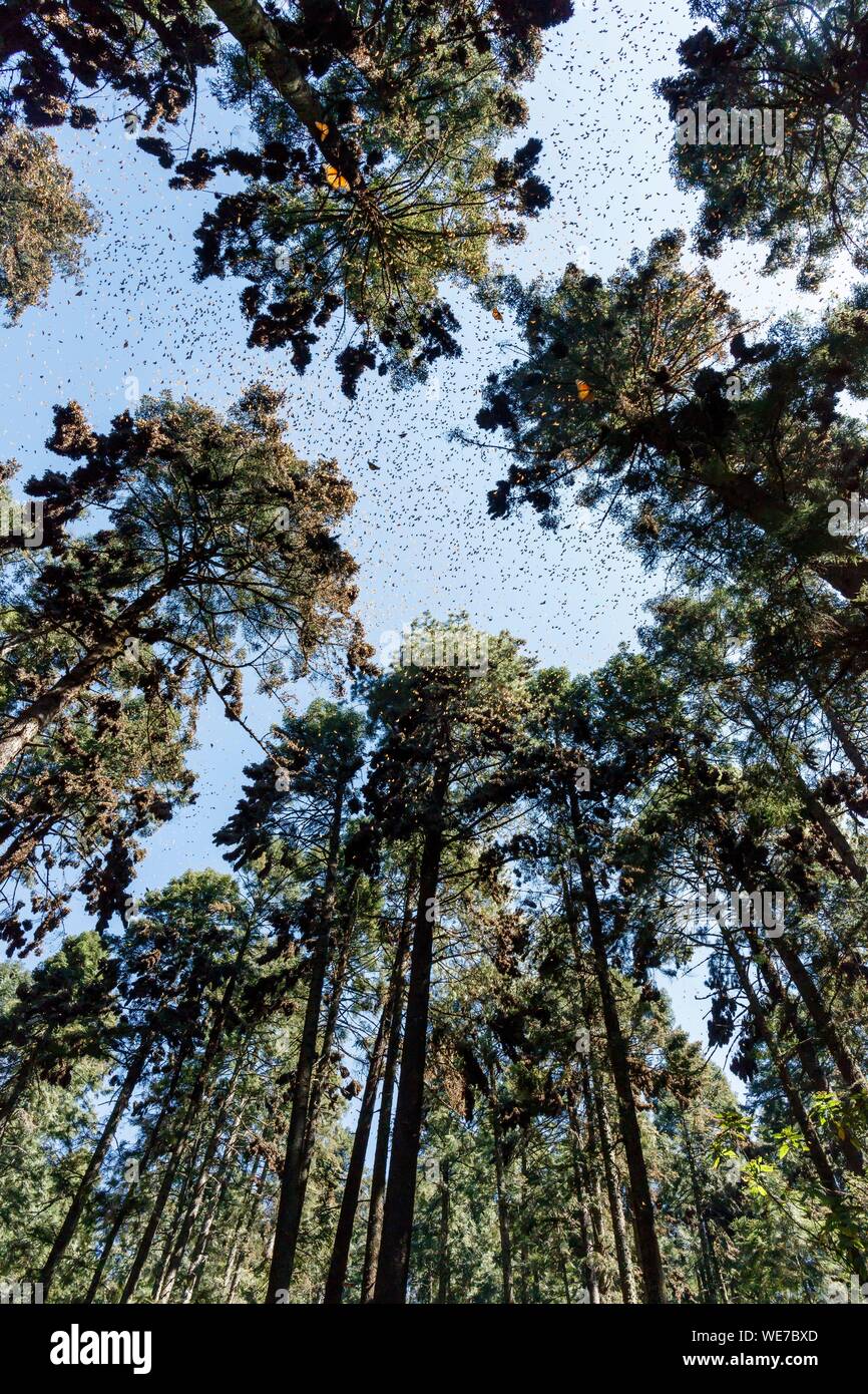 Animals hi-res stock photography and images - Alamy