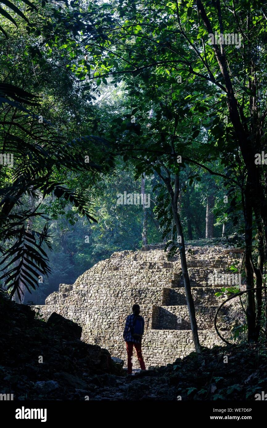 Rainforest pyramid hi-res stock photography and images - Alamy