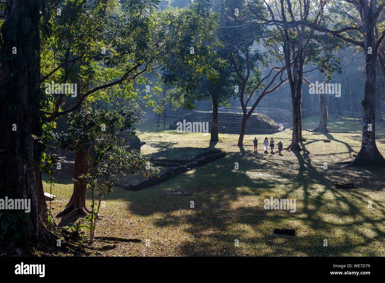 Rainforest pyramid hi-res stock photography and images - Alamy