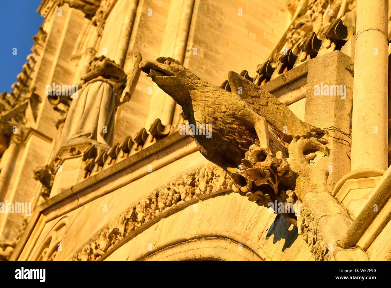 Gargoyles statue cathedral church hi-res stock photography and images ...