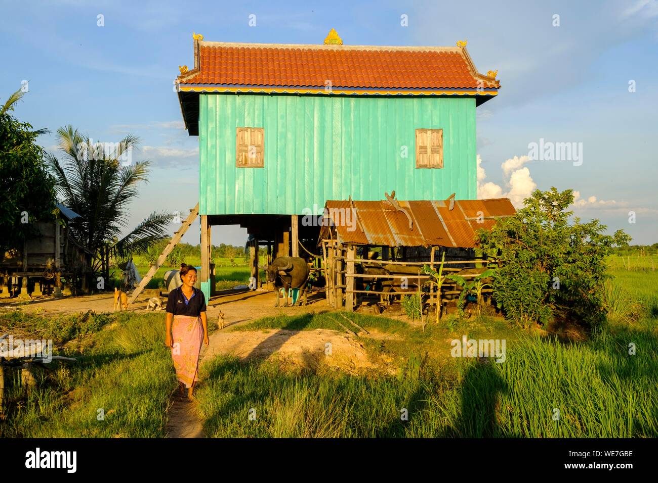 Cambodia, Kompong Thom province, Kompong Thom or Kampong Thom, traditional stilt house Stock ...