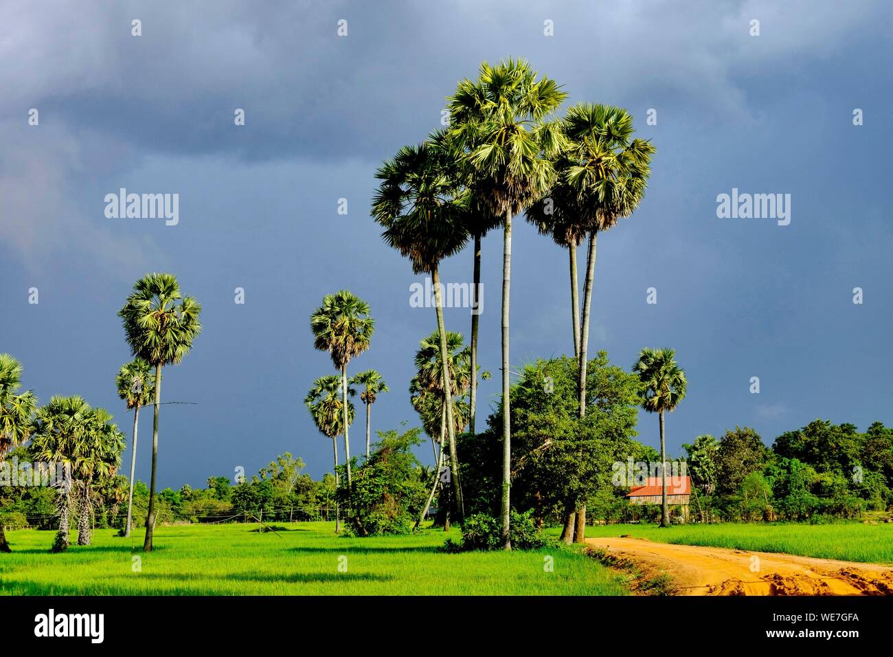Kompong chhnang province hi-res stock photography and images - Alamy