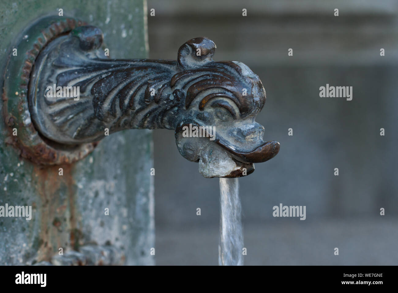 Water gargoyle hi-res stock photography and images - Alamy