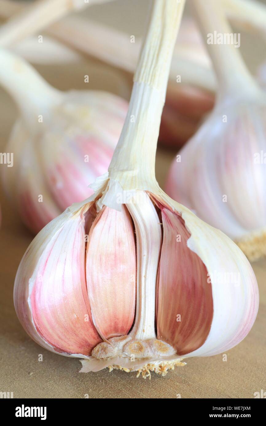 Midi pyrenees farm france hi-res stock photography and images - Alamy